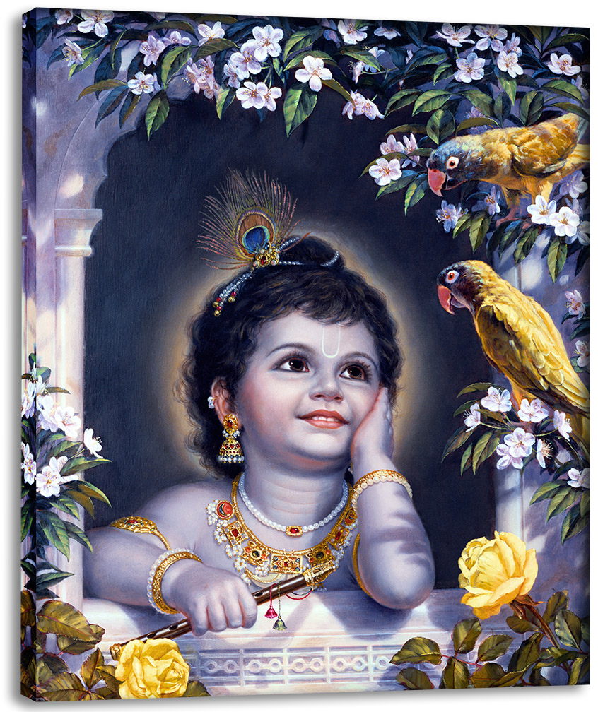 CV27 Krishna with Parrots Canvas: Krishna Culture
