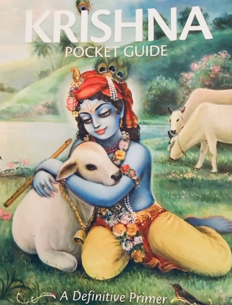 Krishna Pocket Guide: Krishna Culture